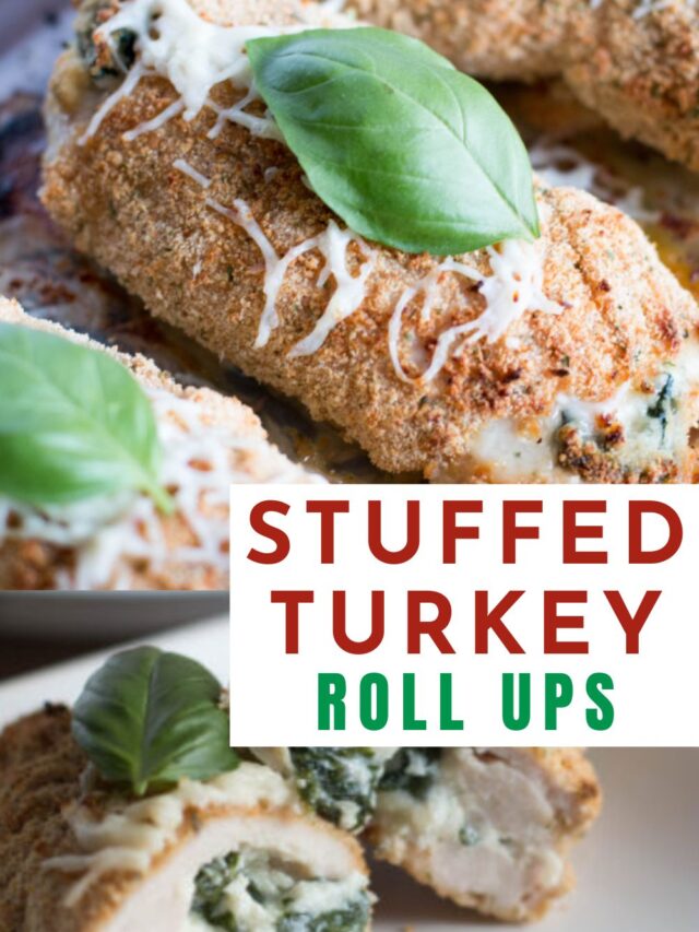 Stuffed Turkey Roll Ups - Lara Clevenger